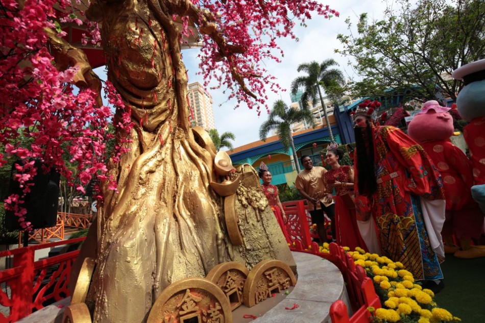 Lucky Tree-950×633 | Live Life Lah.......